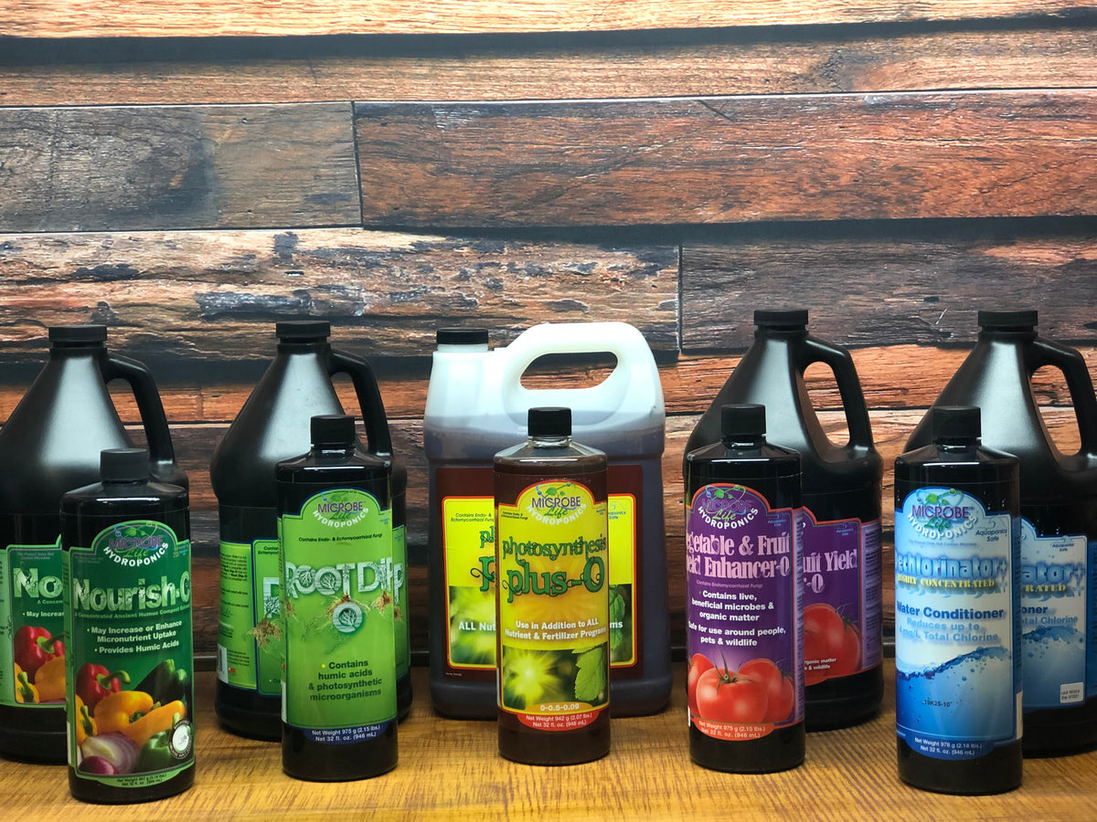 Microbe Life – OCGFAM